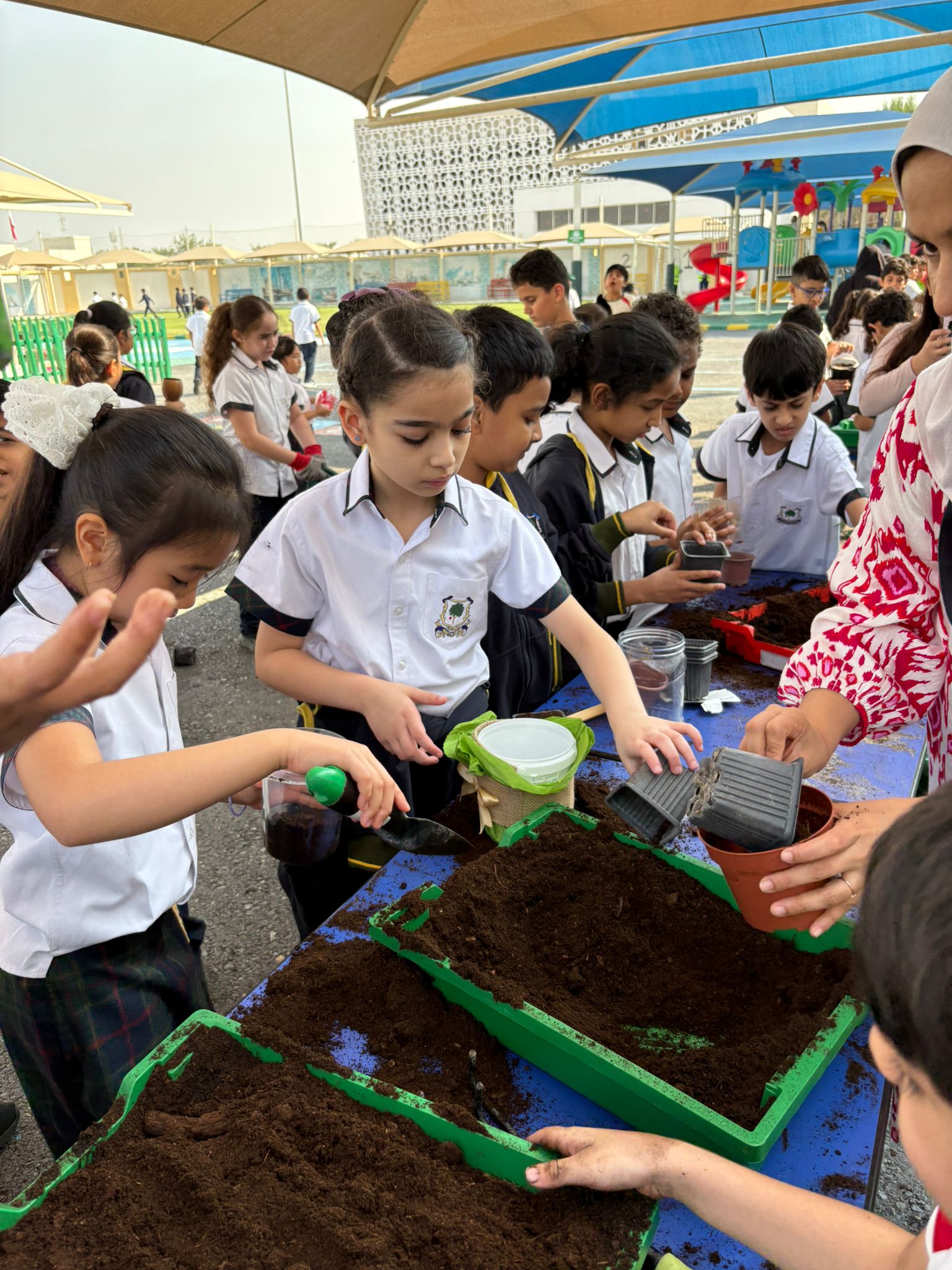 Anything but a Plant Pot Day 🪴 - Newton Schools